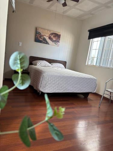 Habitacion Cerezo - Saltillo