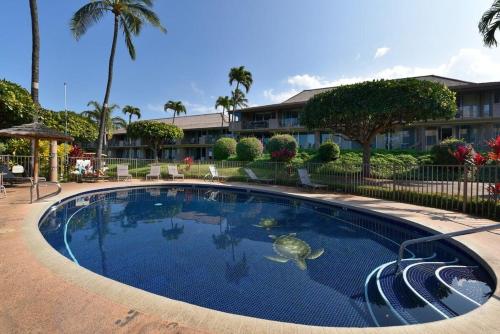 Eldorado J209 · El J209 Spacious Studio W Ac Pool And Beach Caba - Kaanapali, HI