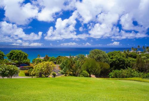 412 Ridge - Kapalua, HI