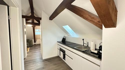 Bird Suite · Wipkingen - Zurique