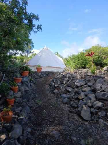 Affordable Hawai'i - Hawaii