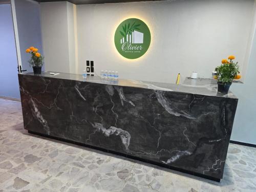 Suites & Lofts Olivier - Uruapan