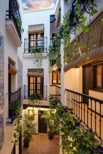 1912 Collection Santo Cristo - Marbella