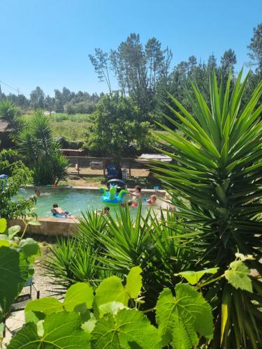 Yuccasa - Small Glamping Camping & Studio's - Pombal
