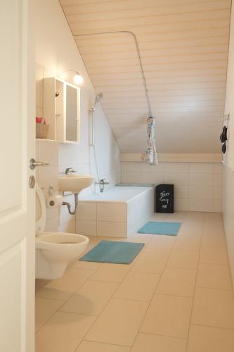 Homely 2,5 Room Apartment - Canton of Aargau