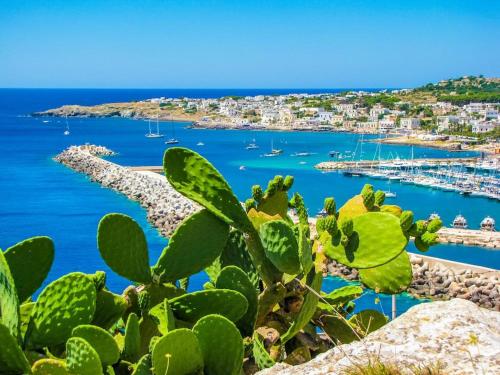 Alba Marina - Gallipoli
