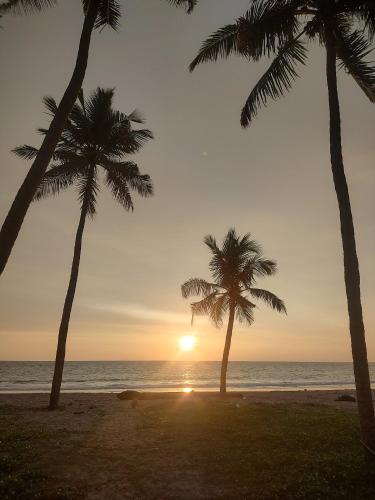 Katadi Beach Coral Cottage - Kerala