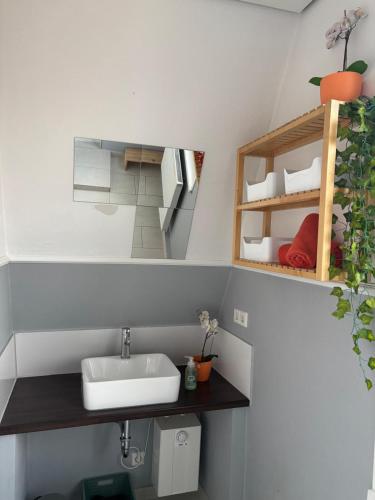 Private Zimmer Im Serviced Apartment - Mit Wochentlicher Reinigung - 司徒加特