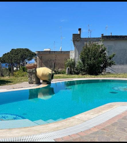 Villa Liuba Con Piscina - Ischia