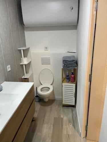 Studio Axel - Location saisonnière, 1er étage 49 Bd du Général de ...