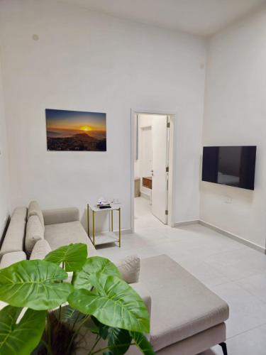 Cedar Shade - 1br Next To Rizk Hospital Ashrafieh - Beirut