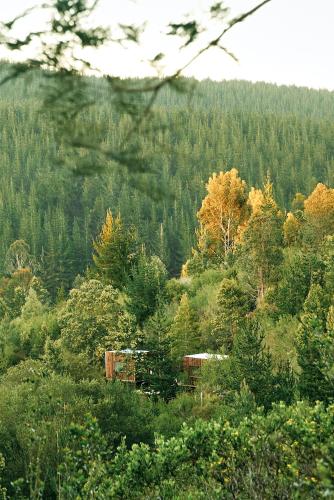 Serene Cabin In A Private Forest - Western Cape