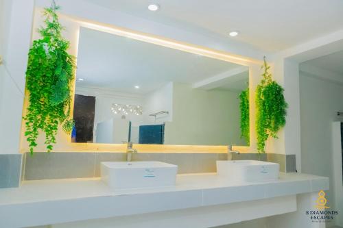 8 Diamonds Escapes - Calamba