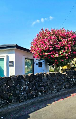 Soonbigi 순비기 Jeju Stone House In Seogwipo - Seogwipo-si