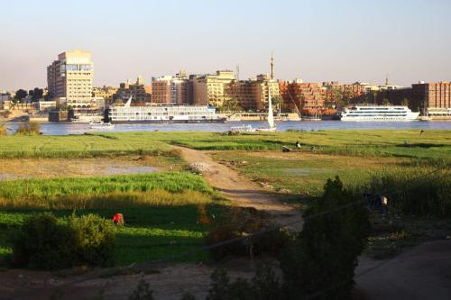 Nile Flower Guesthouse - Luxor