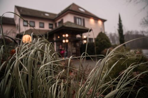 Pension Hubertushof - Neustadt an der Weinstraße