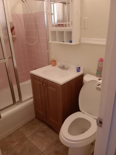 1 Bedroom Kitchen Bathroom Apt - Christmas, FL