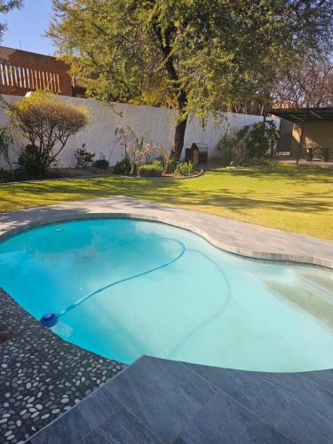 Grey Heron - Boksburg