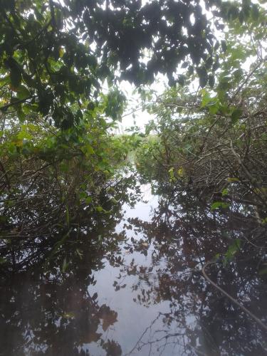 Ibira Camping - Santa Catarina (estado)