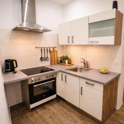 Komfort Apartment Nahe Hbf Koblenz - Koblenz