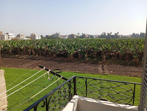 Rafe Guest House - Luxor