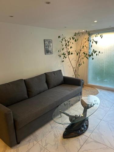 Superbe Studio Eckbolsheim - Eckbolsheim