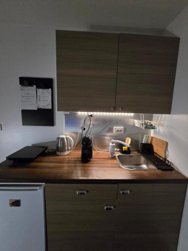Studio Apartman Tara - Kutina