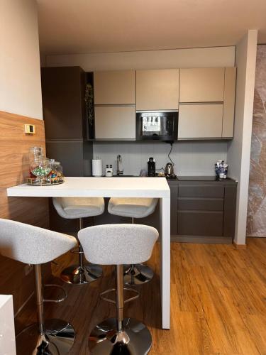 Elite - Rovigo