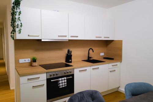 Modern City Apartment Parking Wifi 6 Pax - Landshut