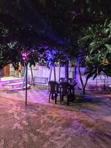 Agapi Homestay - Kochi