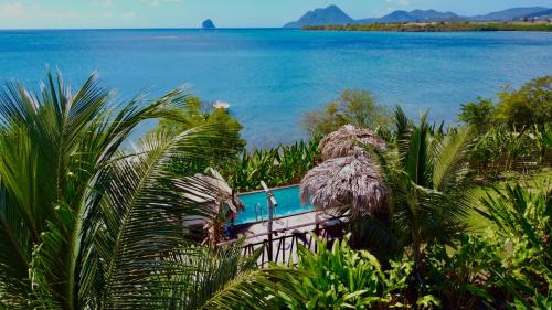 Dom Nature Lodge & Spa - Martinique
