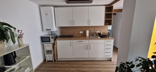 Charmantes Und Neu Renoviertes Apartment In Der Nahe Des Flughafens - Schwechat