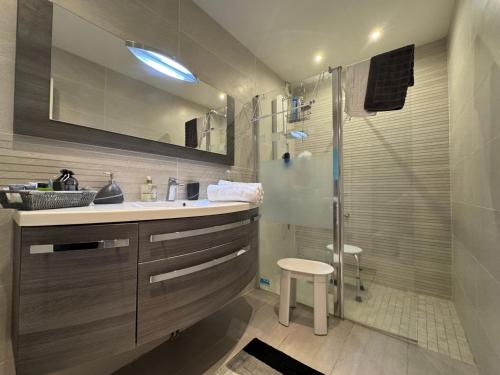 Le Paisible - 4pers - Parking - Wi-fi - Le Mans
