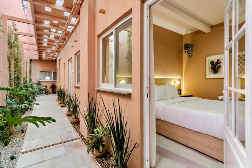 Damian Carmona By Homi Rent - Santiago de Querétaro