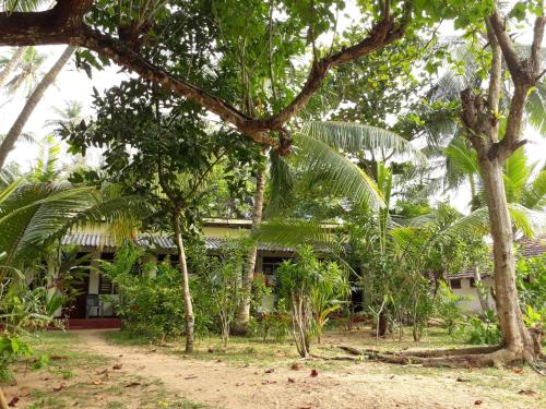 Hector's Place - Hikkaduwa