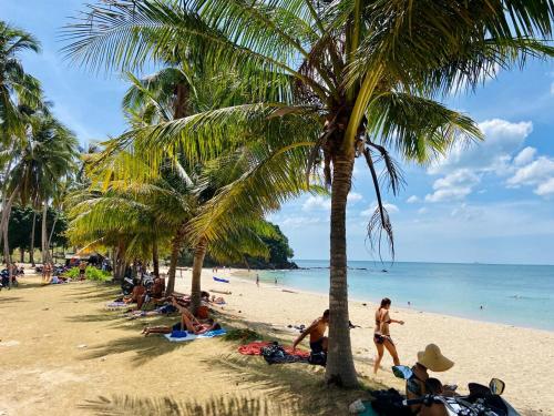 Opposite To Beautiful Beach - Krabi