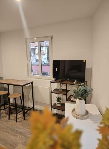 Studio Proche Zenith & Strasbourg Centre - Eckbolsheim