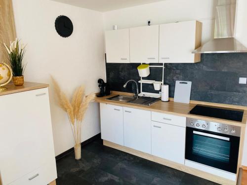 Gemutliche Wohnung Im Grunen - Kehl