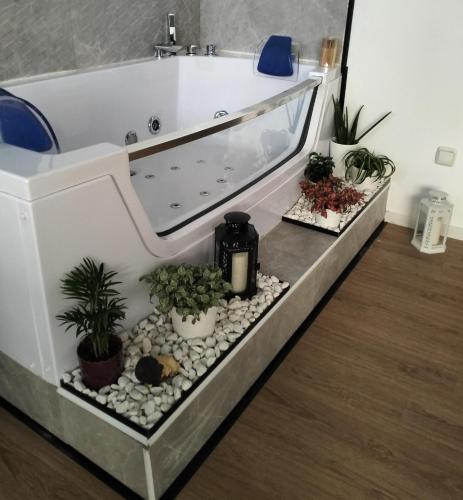 Loft - Centrico - Jacuzzi - Maquina Recreativa - Valladolid