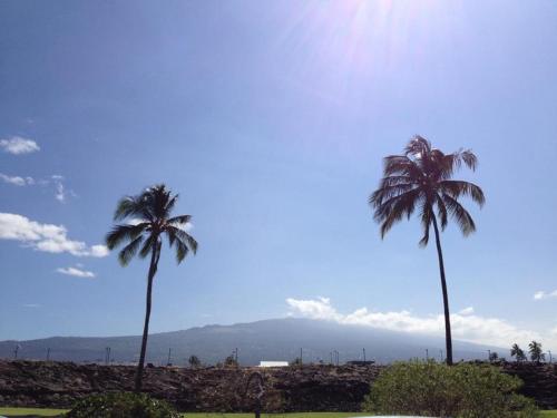 Happy Hill Inn 3bed Room - Hawaii