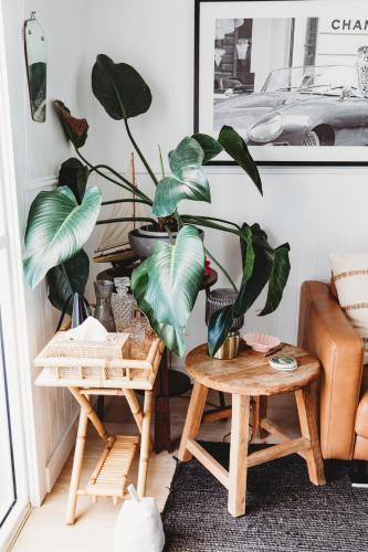 Studio 34 - Nelson Bay - Nelson Bay