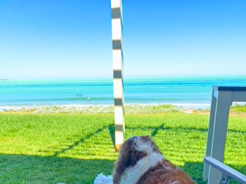 Aldinga Stunning Sea View-2br Retro Vibe - Adelaida