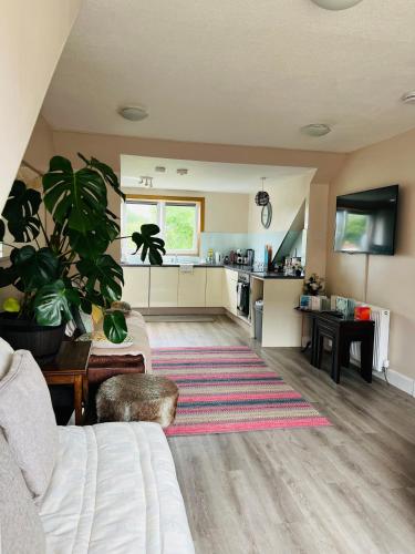 “A Wee Pad In Dunfermline” - Dunfermline