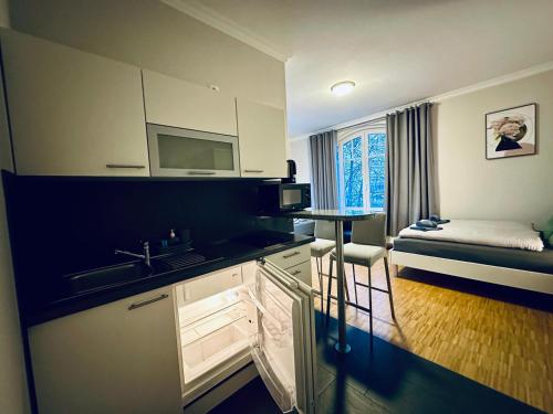 Apartmenthouse Singen - Singen
