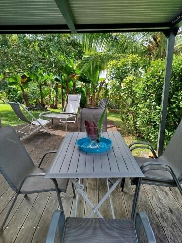 Les Poinsettias - Martinique