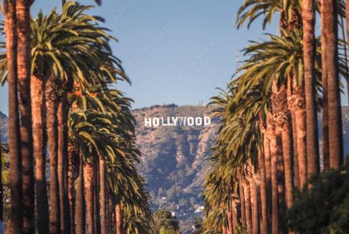 Modern Hollywood Apt With Pool Spa & Great Views - Los Ángeles