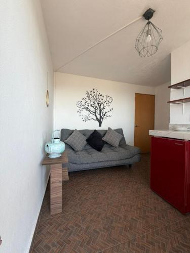 Apartamento 32 - Toluca