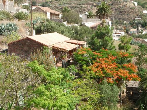 La Casa De Los Pinos Temisas - Gran Canaria