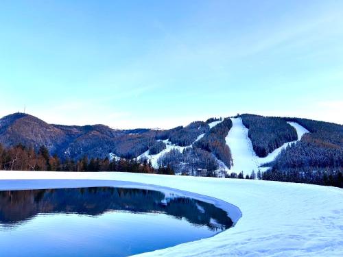 Villa Natalie - Panorama Apartment Mit Bergblick, Semmering - Semmering