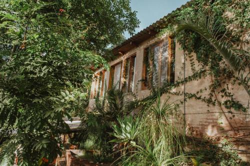 Casita Teca Jardin De Esculturas Junto Al Rio - Uruapan